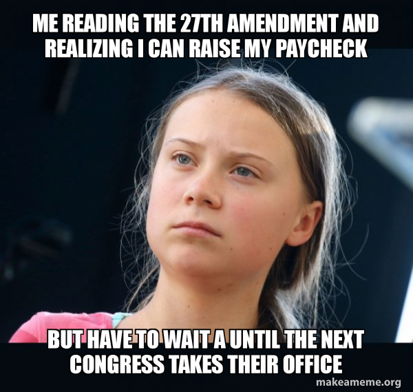 me reading the 27th amendment and realizing i can raise my paycheck but ...
