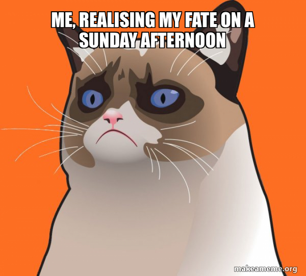 Me, realising my fate on a Sunday afternoon - Cartoon Grumpy Cat Meme ...