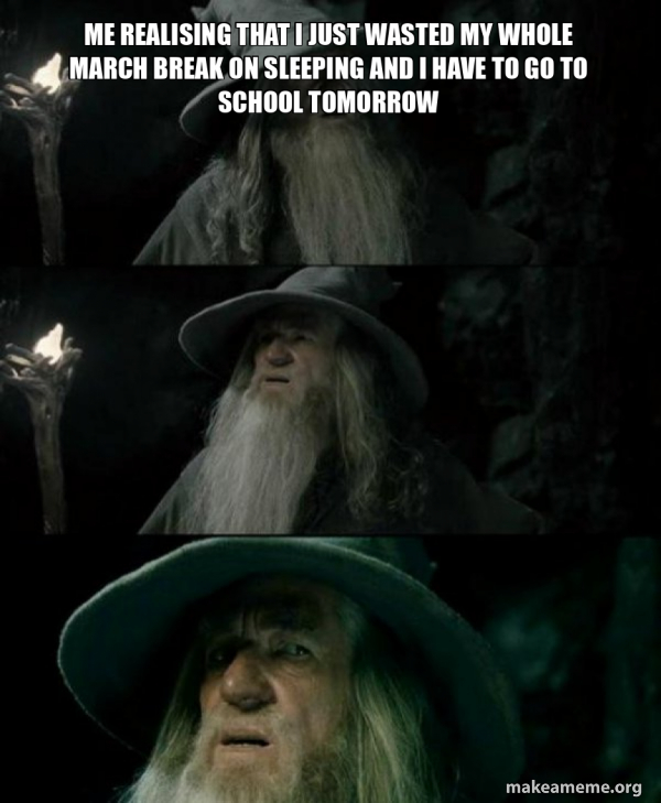 Me realising that I just wasted my whole March Break on sleeping and I ...