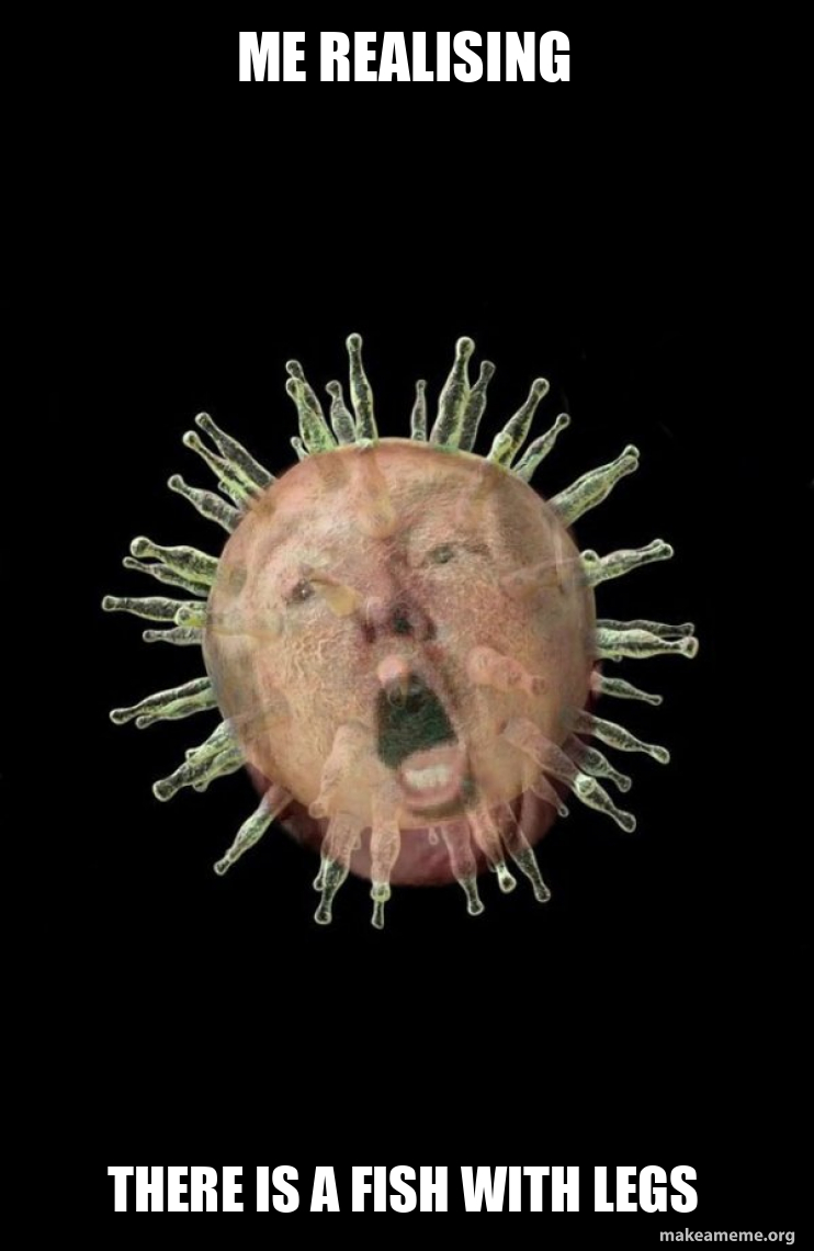 Me realising there is a fish with legs - Trumpvirus TrumpPandemic Meme ...