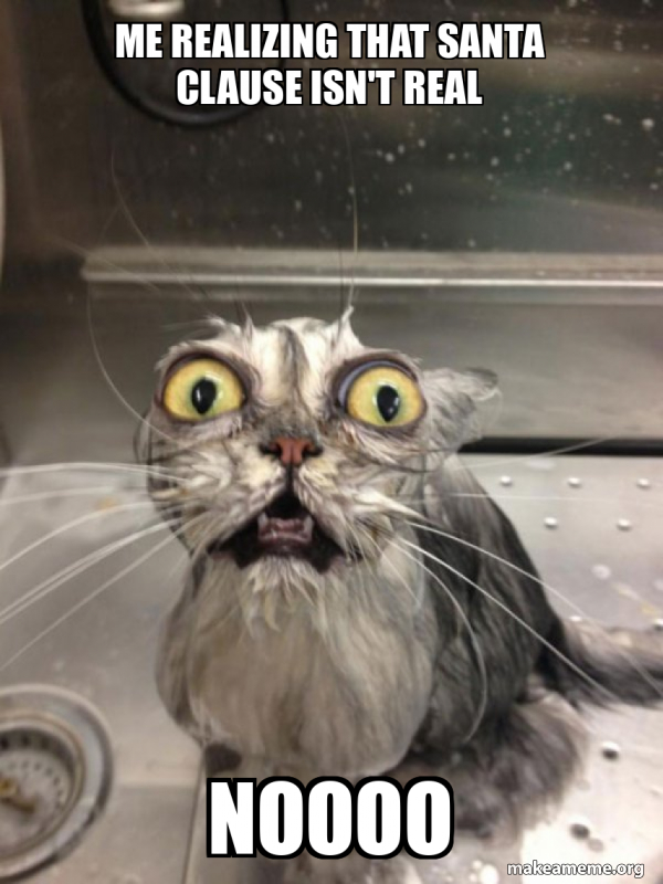 Me realizing that Santa Clause isn't real NOOOO - Cat bath Meme Generator