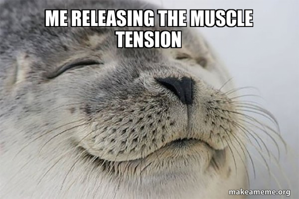 Me releasing the muscle tension - Satisfied Seal Meme Generator