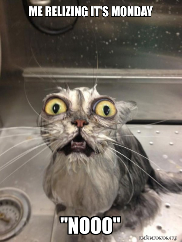 me relizing it's monday "nooo" - Cat bath Meme Generator