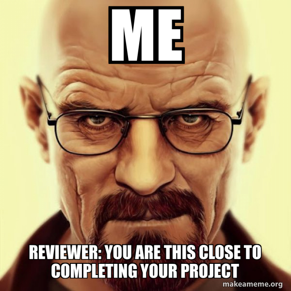 Me Reviewer: You are this close to completing your project - Walter ...