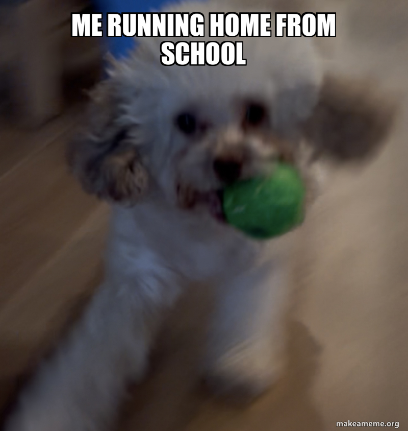 Me running home from school Meme Generator