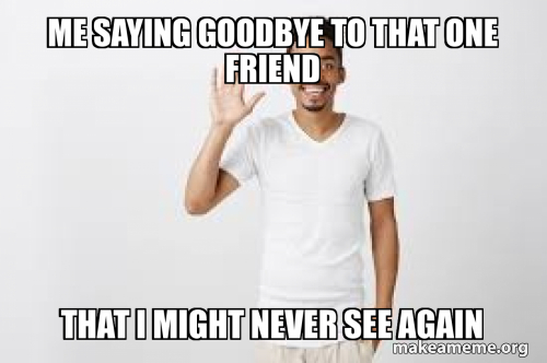me saying goodbye to that one friend that i might never see again Meme ...