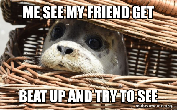 me see my friend get beat up and try to see - Impending Doom Seal Meme ...
