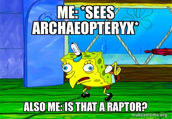 Me: *sees Archaeopteryx* Also me: iS tHaT a rApToR? - Mocking SpongeBob ...