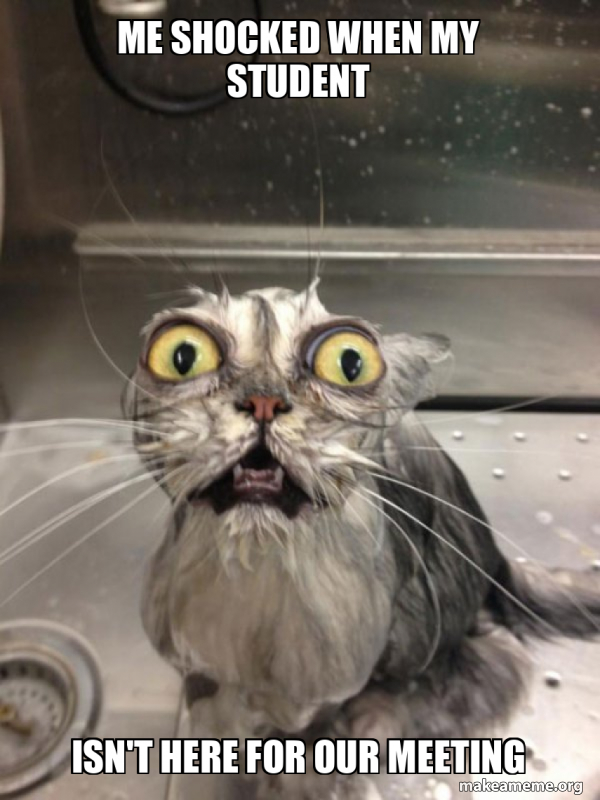 mE sHOCKED WHEN mY sTUDENT iSN'T hERE FOR OUR MEETING - Cat bath Meme ...