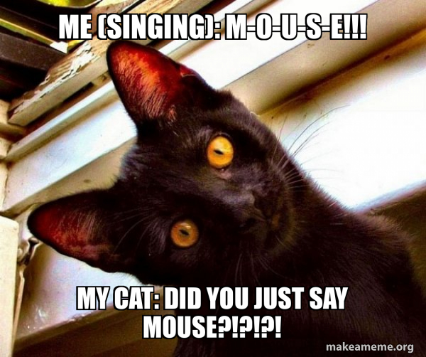 Me (Singing): M-O-U-S-E!!! My Cat: Did You Just Say MOUSE ...