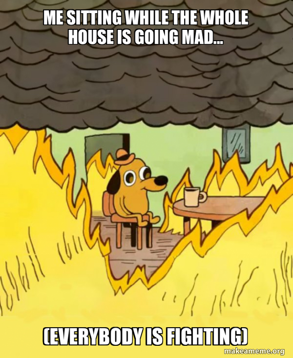 Me sitting while the whole house is going mad... (everybody is fighting ...