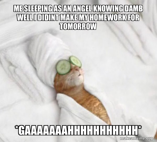 me sleeping as an angel knowing damb well i didint make my homework for ...
