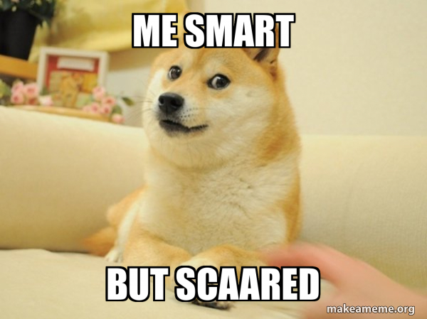 me smart but scaared - Doge Meme Generator