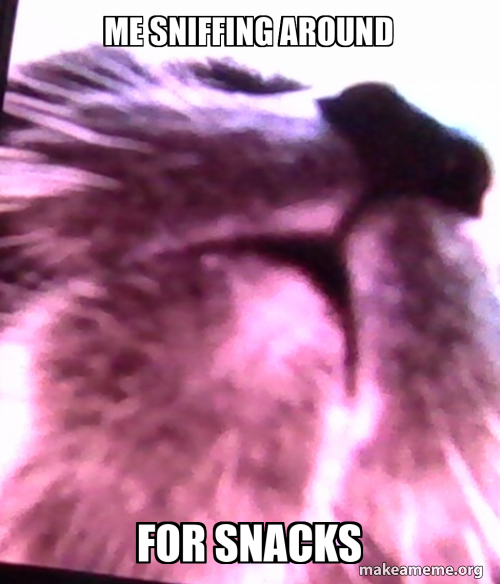 Me sniffing around for snacks Meme Generator