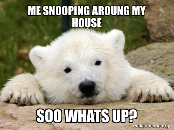 Me snooping aroung my house SOO whats UP? - Popular Opinion Bear Meme ...