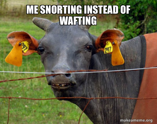 me snorting instead of wafting - Hairless Cow Meme Generator
