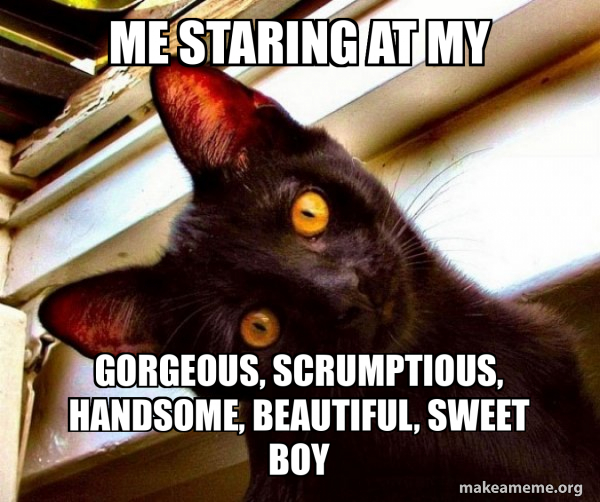 Me staring at my Gorgeous, scrumptious, handsome, beautiful, sweet boy ...