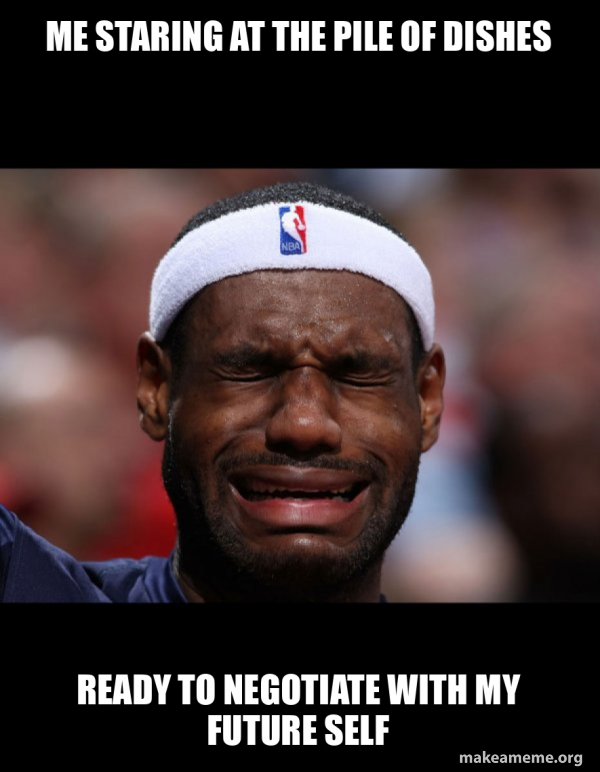 Me staring at the pile of dishes Ready to negotiate with my future self ...