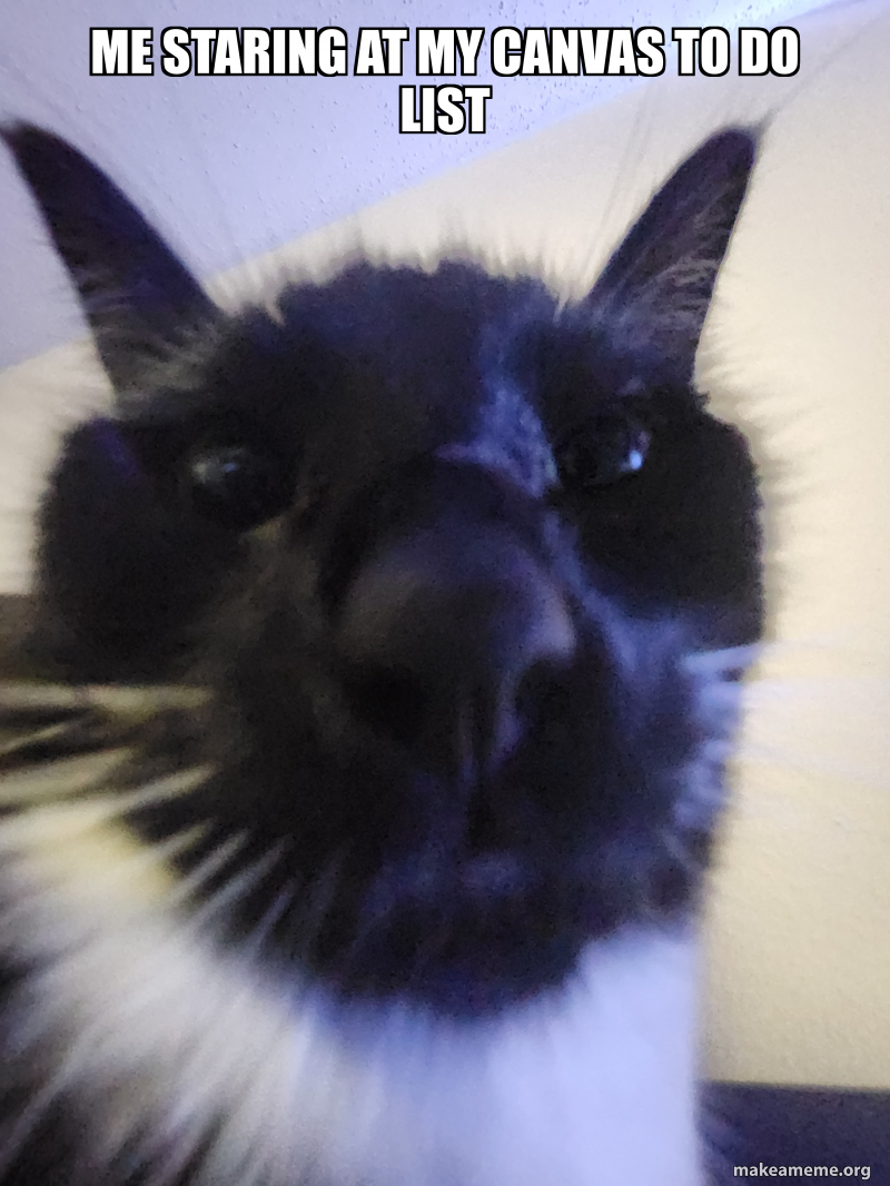 Me staring at my canvas to do list Meme Generator