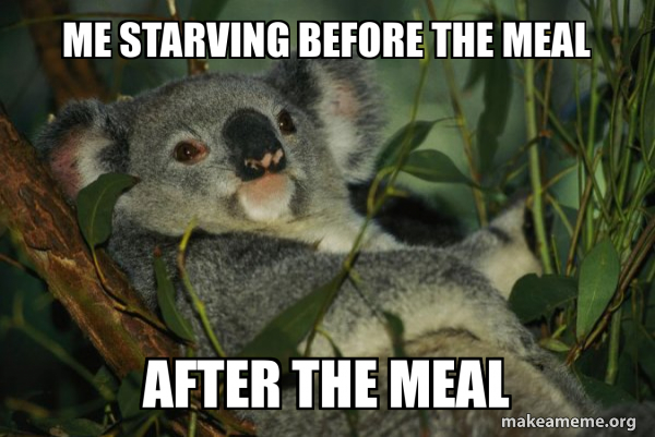 Me starving before the meal After the meal - Laid Back Koala Meme Generator