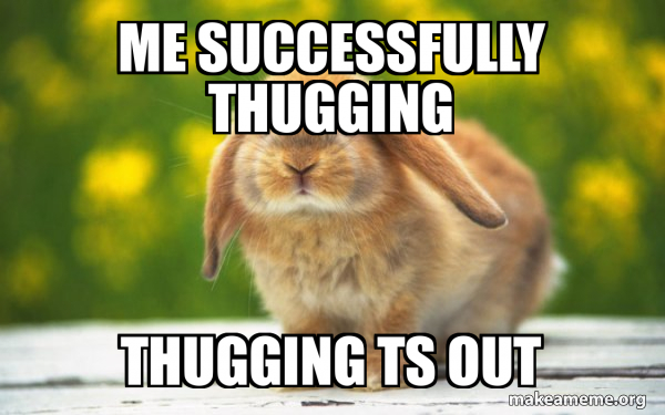 ME SUCCESSFULLY THUGGING THUGGING TS OUT - Regretful Rabbit Meme Generator