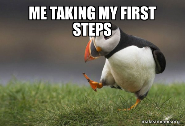 me taking my first steps - Unpopular Opinion Puffin Meme Generator