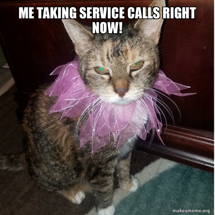Me taking service calls right now! Meme Generator