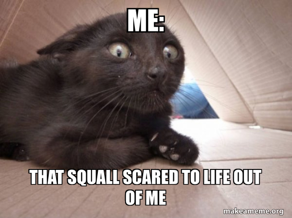 Me: That Squall scared to life out of me - Schitzo Cat Meme Generator