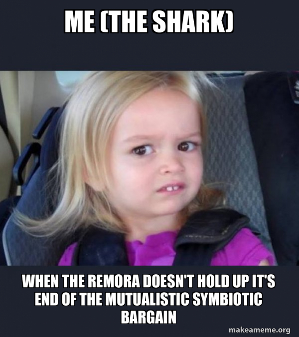 me (the shark) when the remora doesn't hold up it's end of the ...