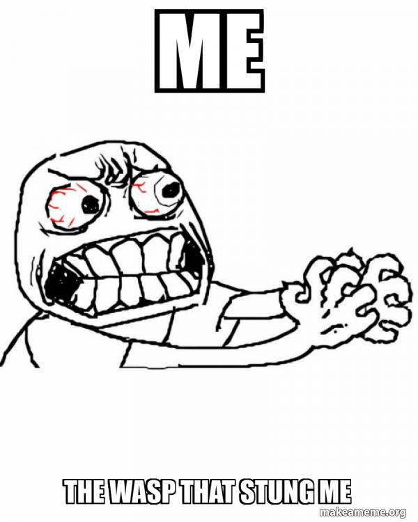me the wasp that stung me - Angry Meme Generator