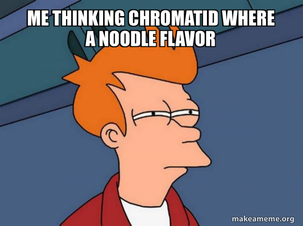 Me thinking chromatid where a noodle flavor - Futurama Fry Meme Generator