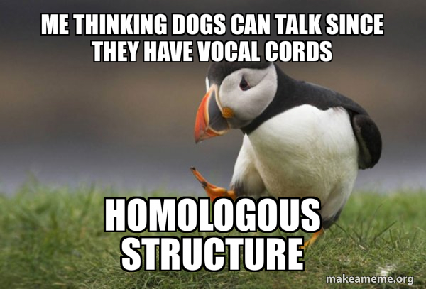Vocal Cords Memes It's The Saddest Thing When Someone Weeps In
