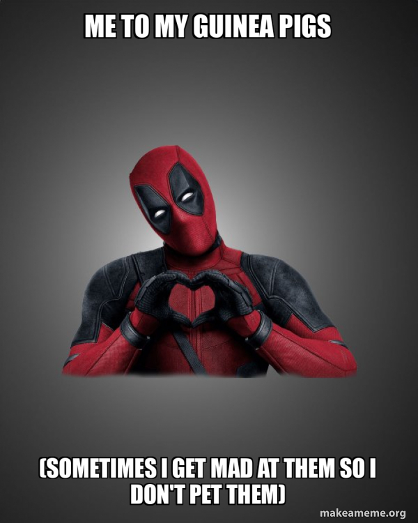 Me to my Guinea pigs (sometimes I get mad at them so I don't pet them ...