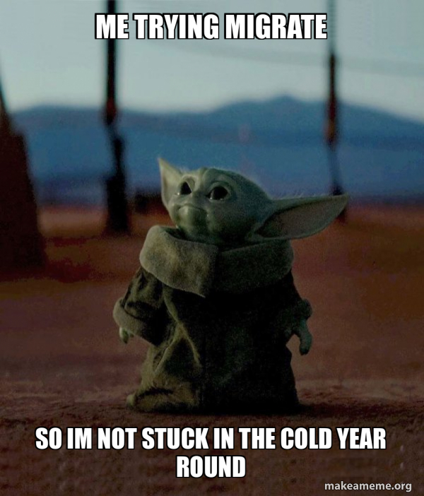 me trying migrate so im not stuck in the cold year round - Baby Yoda ...