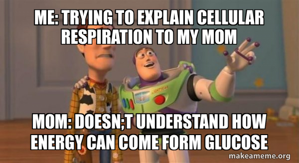 Me: trying to explain cellular respiration to my mom MOM: doesn;t ...