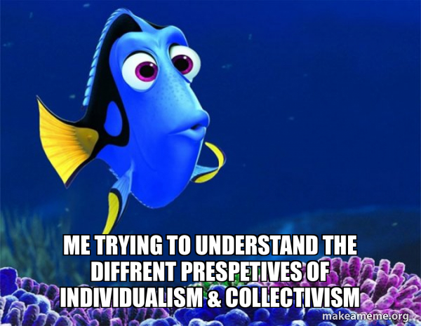 Me trying to understand the diffrent prespetives of Individualism ...