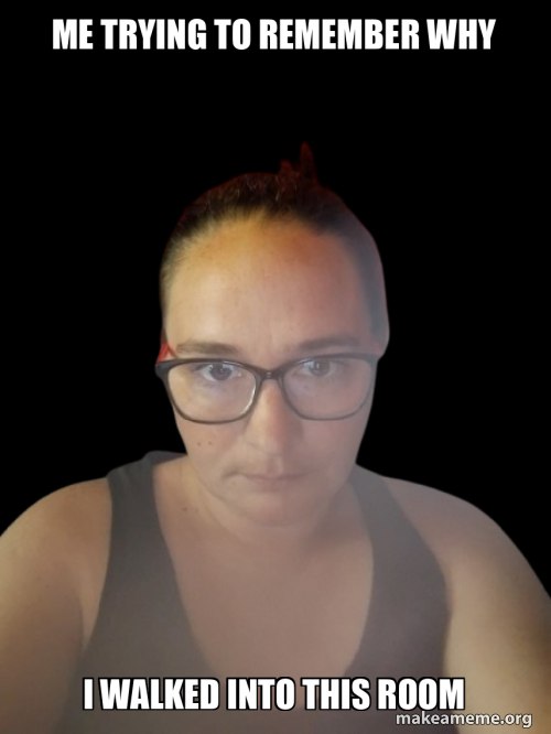 me trying to remember why i walked into this room Meme Generator