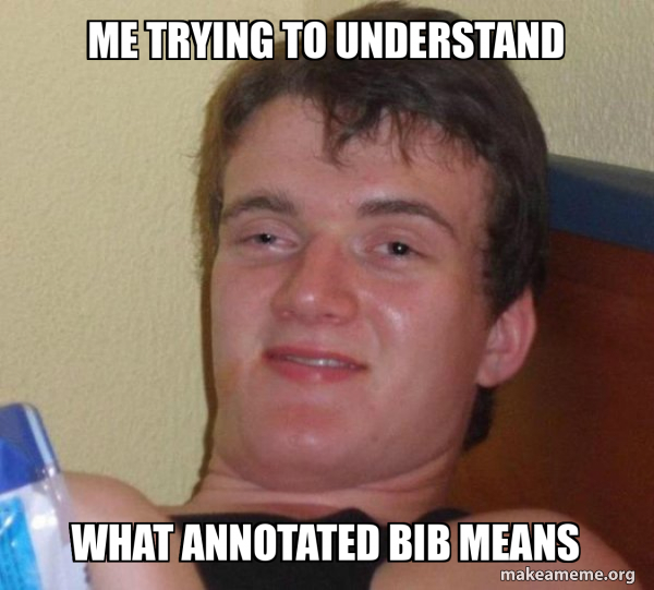 me trying to understand what annotated bib means - [10] guy Meme Generator