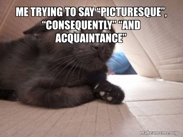 me trying to say “picturesque”, “consequently” “and acquaintance ...