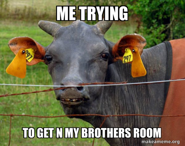 me trying to get n my brothers room - Hairless Cow Meme Generator
