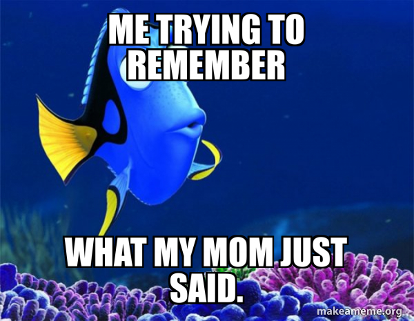 me trying to remember what my mom just said. - Dory from Nemo (5 second ...