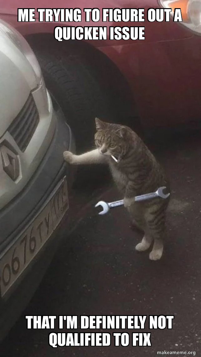 Me trying to figure out a Quicken issue that I'm definitely not ...