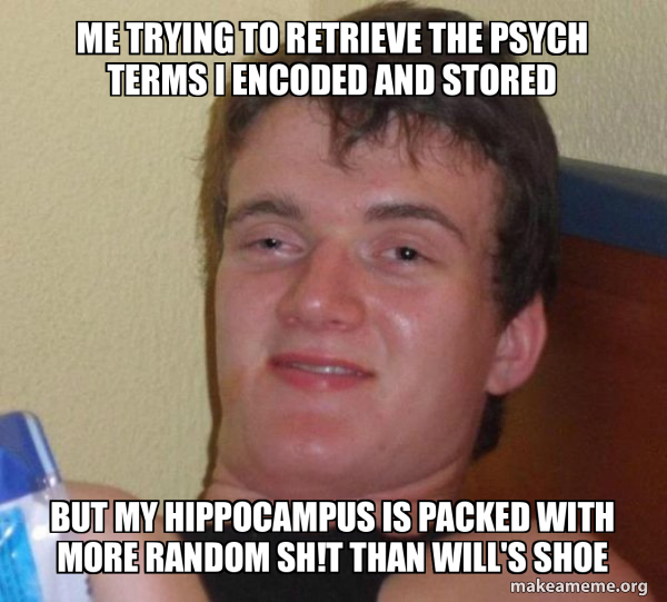 Me trying to retrieve the psych terms I encoded and stored but my ...