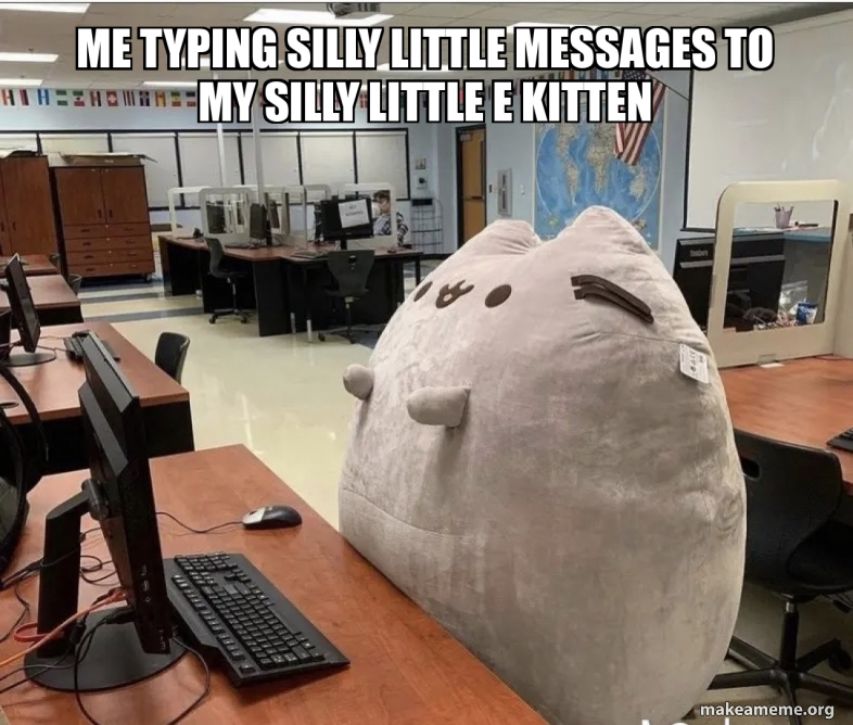 Me typing silly little messages to my silly little e kitten Meme Generator