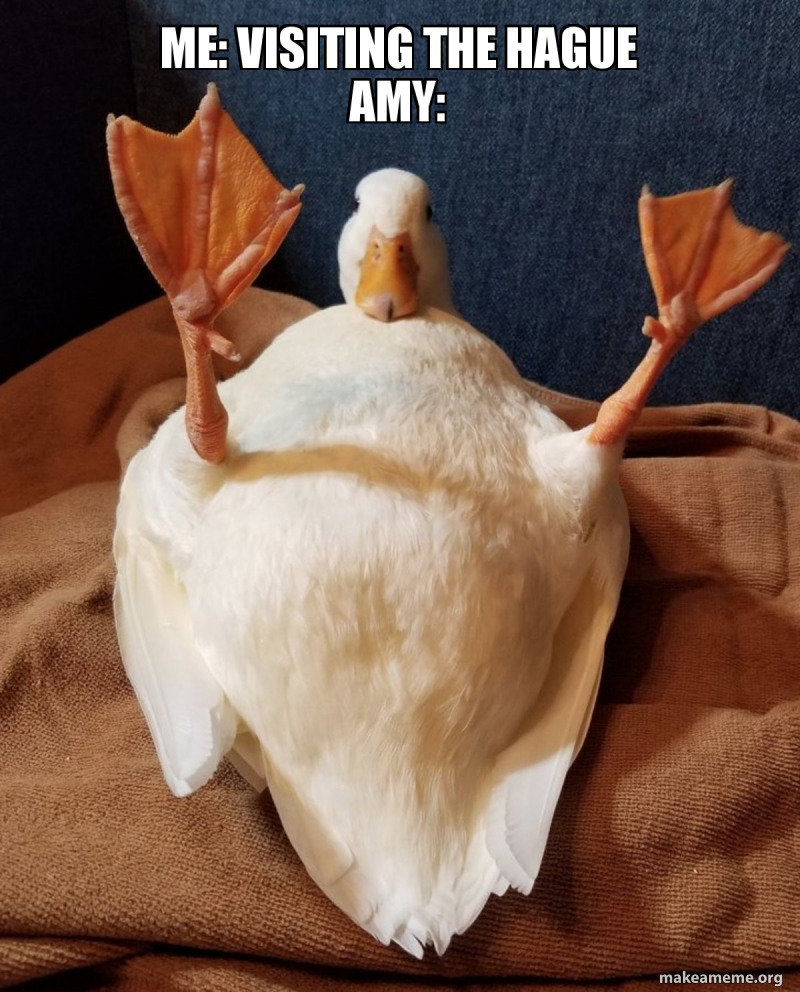 Me: Visiting the Hague Amy: Meme Generator