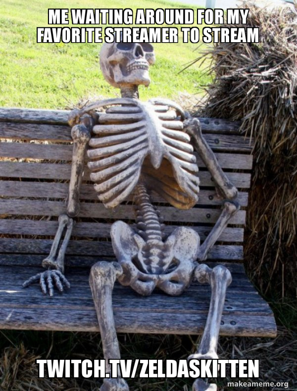 ME WAITING AROUND FOR MY FAVORITE STREAMER TO STREAM TWITCH.TV ...