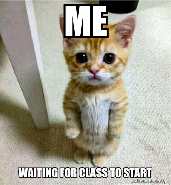 Me waiting for class to start - Cute Cat Standing Meme Generator