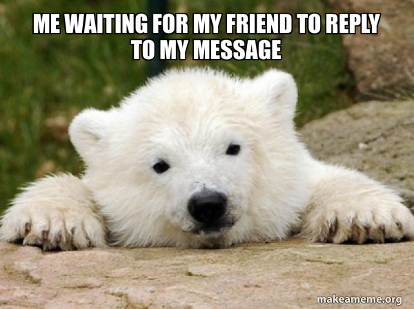 Me waiting for my friend to reply to my message - Popular Opinion Bear ...