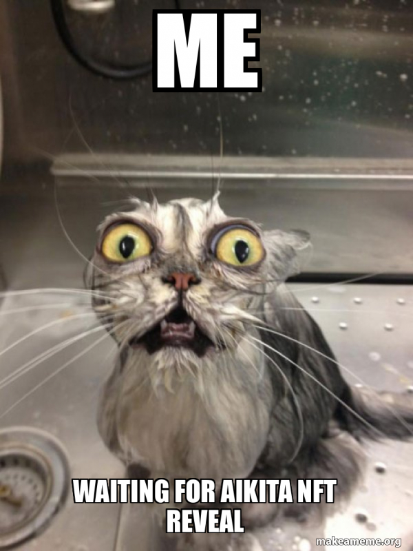 Me waiting for AIKITA NFT reveal - Cat bath Meme Generator
