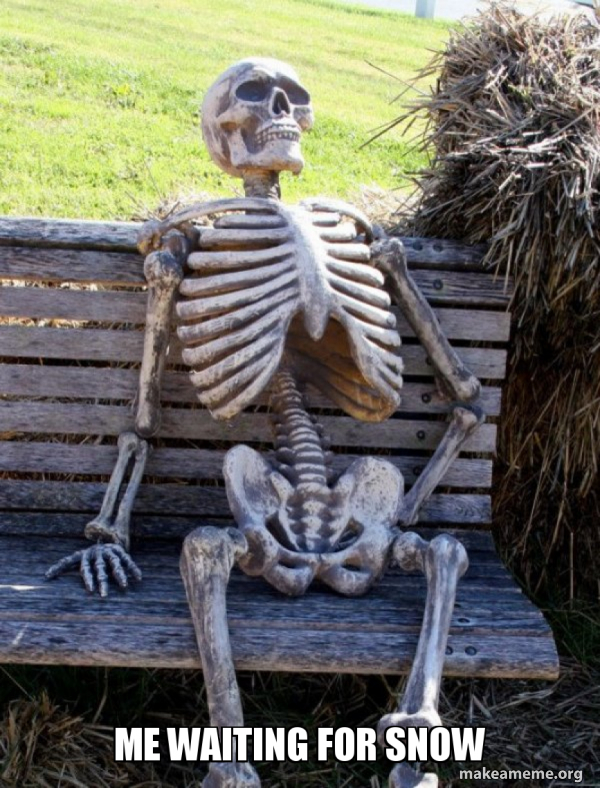 me waiting for snow - Waiting Skeleton Meme Generator